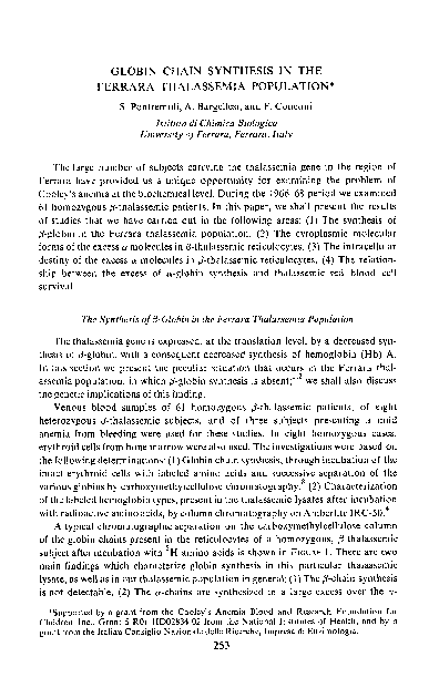 (PDF) Globin Chain Synthesis in the Ferrara Thalassemia Population