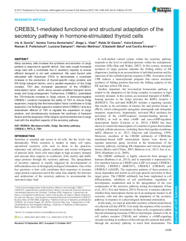 (PDF) CREB3L1-mediated functional and structural adaptation of the ...