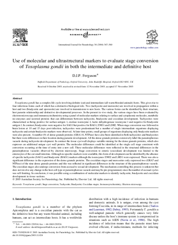 (PDF) Use of molecular and ultrastructural markers to evaluate stage ...