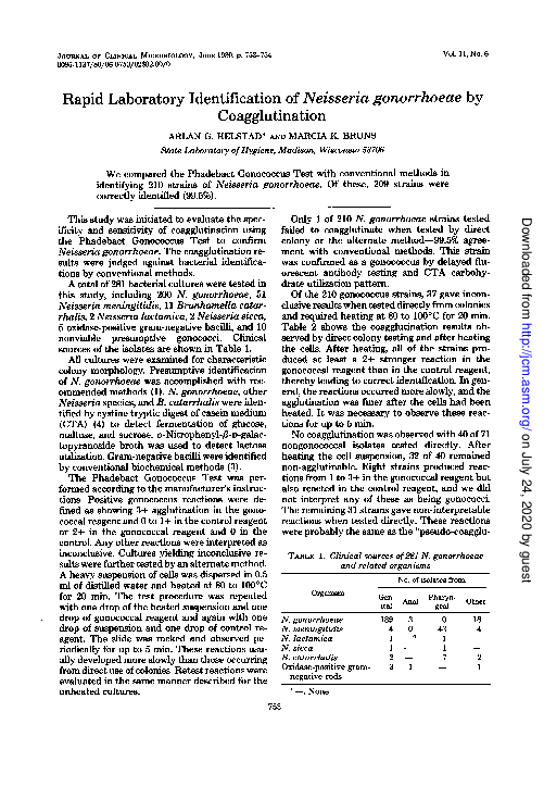 (PDF) Rapid laboratory identification of Neisseria gonorrhoeae by ...