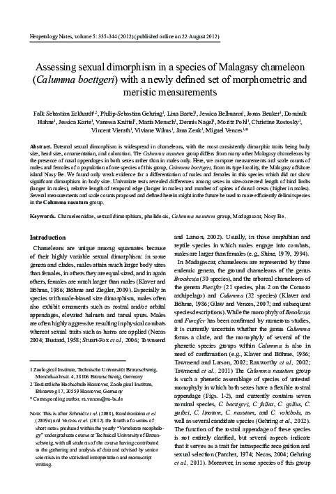 (PDF) Assessing sexual dimorphism in a species of Malagasy chameleon ...