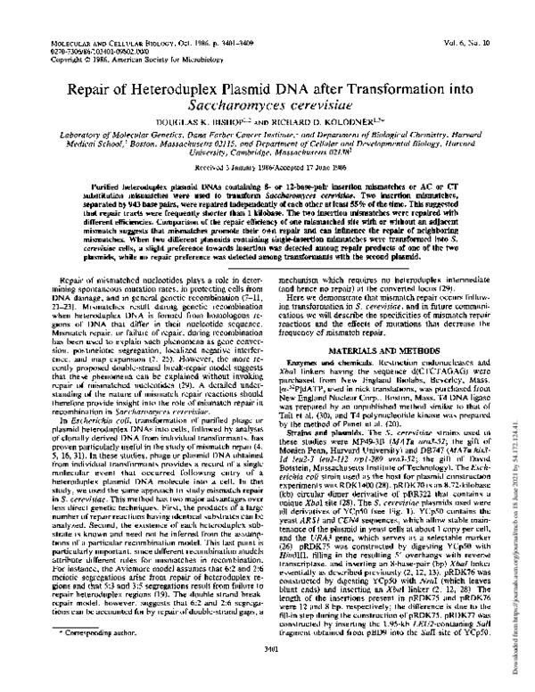 (PDF) Repair of heteroduplex plasmid DNA after transformation into Saccharomyces cerevisiae