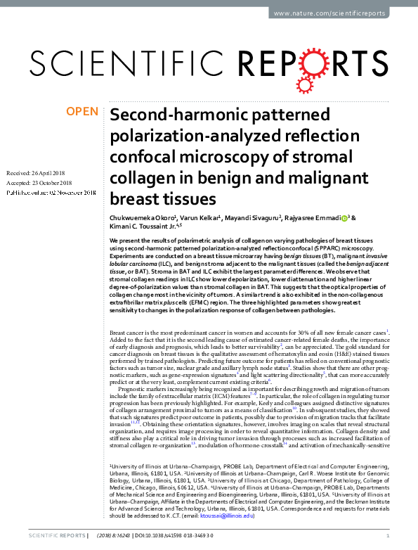 (PDF) Second-harmonic patterned polarization-analyzed reflection ...