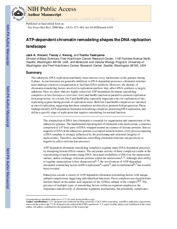 (PDF) ATP-dependent chromatin remodeling shapes the DNA replication ...