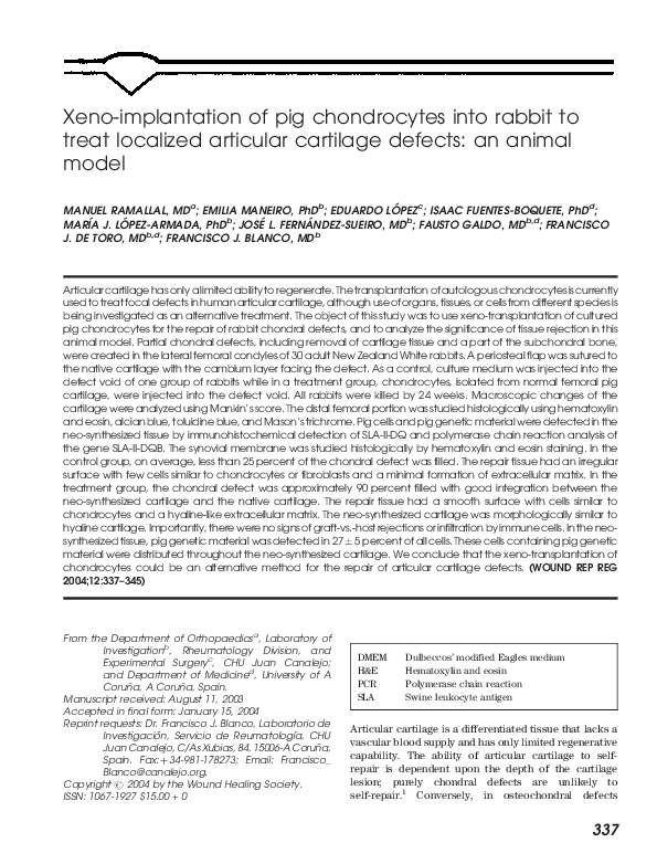 (PDF) Xeno-implantation of pig chondrocytes into rabbit to treat ...