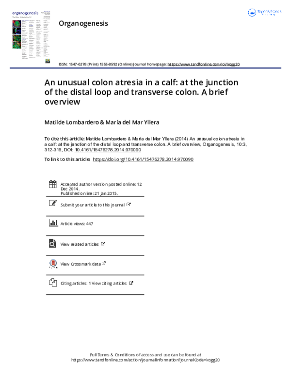 (PDF) An unusual colon atresia in a calf: at the junction of the distal ...
