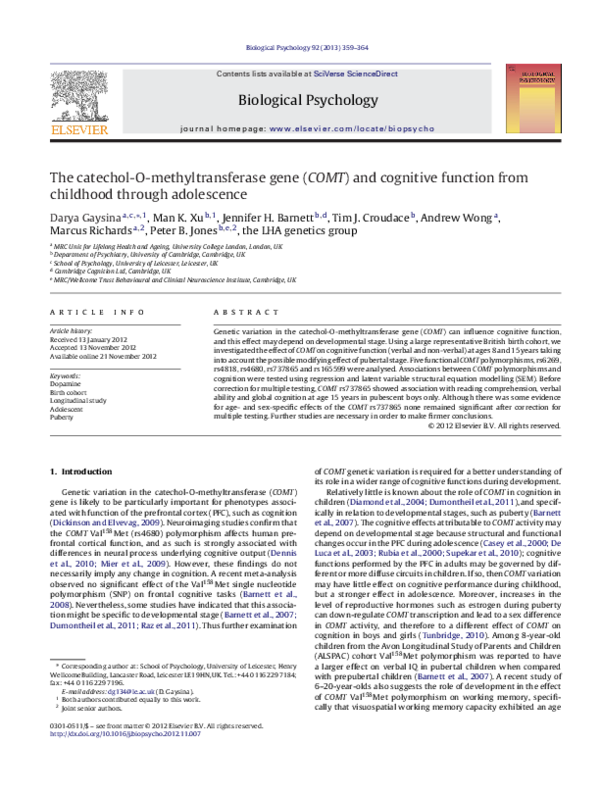 (PDF) The catechol-O-methyltransferase gene (COMT) and cognitive ...