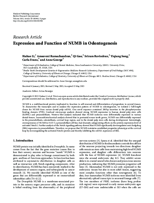 (PDF) Expression and function of NUMB in odontogenesis