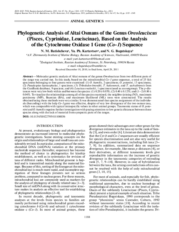 (PDF) Phylogenetic analysis of Altai osmans of the genus Oreoleuciscus ...