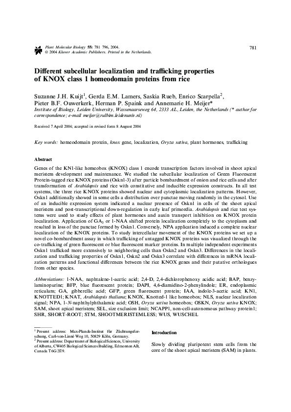 (PDF) Different subcellular localization and trafficking properties of ...