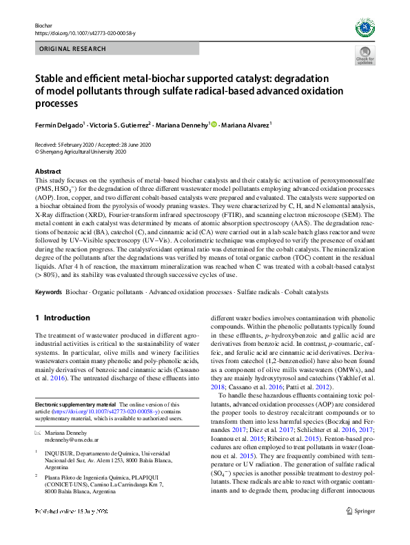 (PDF) Stable and efficient metal-biochar supported catalyst ...