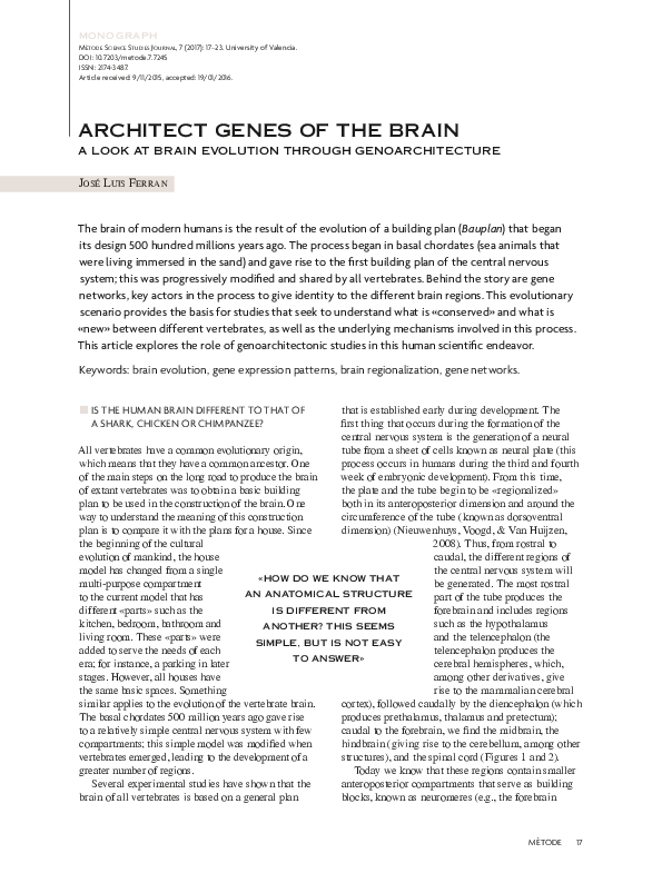 (PDF) Architect genes of the brain: A look at brain evolution through ...