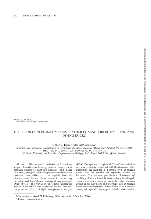 (PDF) Differences in Plumulaceous Feather Characters of Dabbling and ...