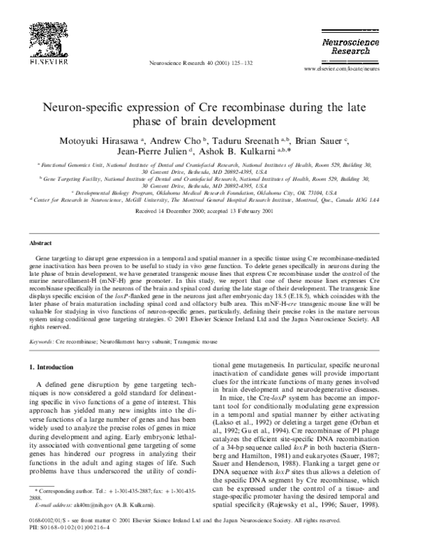 (PDF) Neuron-specific expression of Cre recombinase during the late ...
