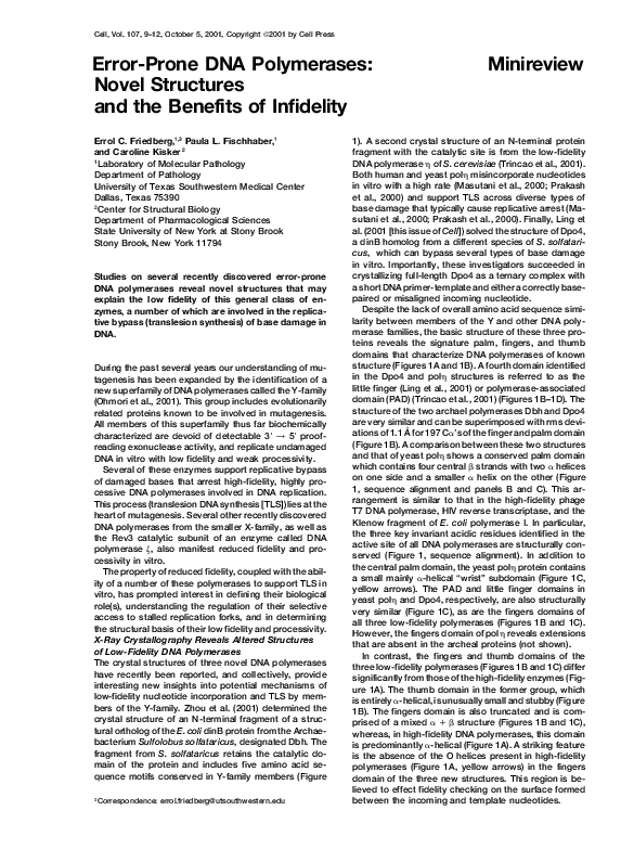 (PDF) Error-Prone DNA Polymerases