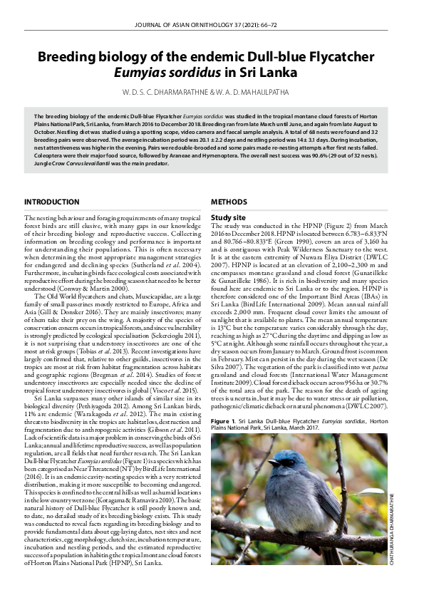 (PDF) Breeding biology of the endemic Dull-blue Flycatcher Eumyias ...