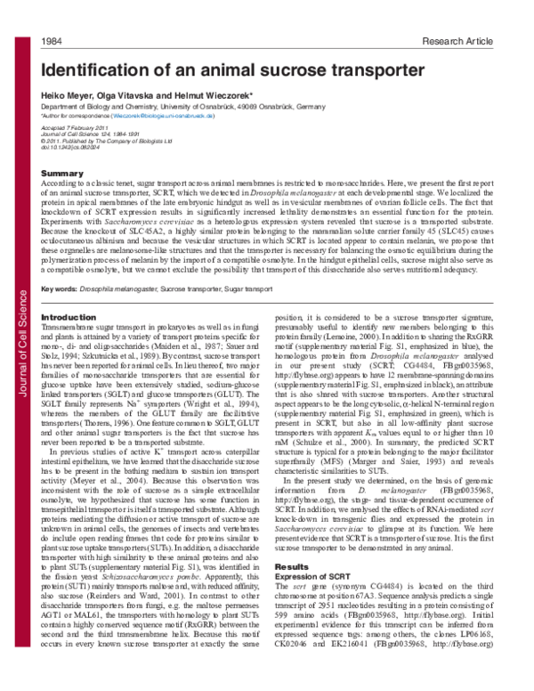 (PDF) Identification of an animal sucrose transporter