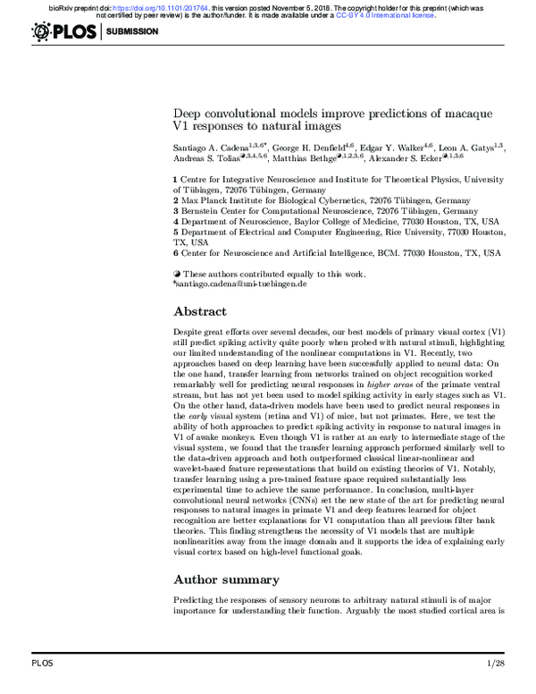 (PDF) Deep convolutional models improve predictions of macaque V1 responses to natural images