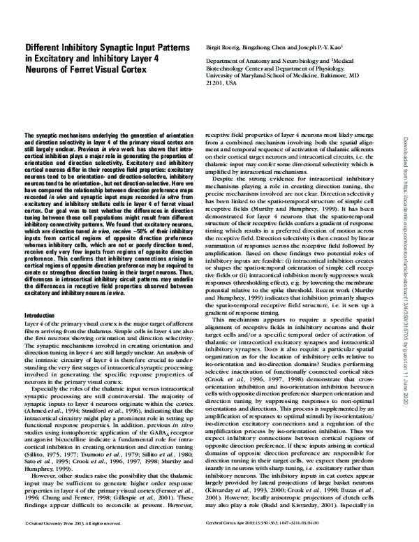 Pdf Different Inhibitory Synaptic Input Patterns In Excitatory And Inhibitory Layer 4 Neurons