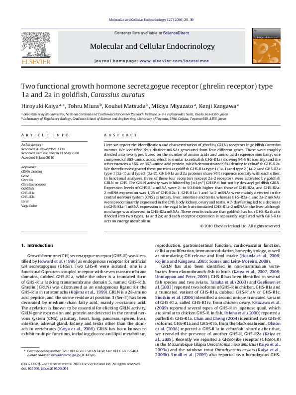 (PDF) Two functional growth hormone secretagogue receptor (ghrelin ...