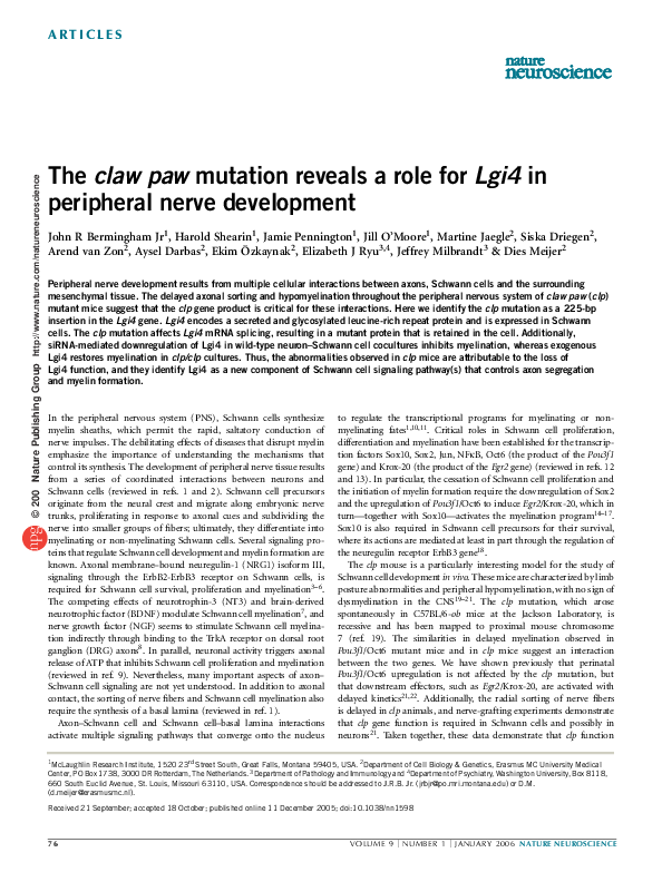 (PDF) The claw paw mutation reveals a role for Lgi4 in peripheral nerve ...