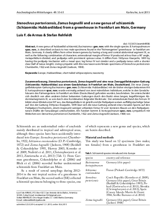 (PDF) Stenochrus portoricensis , Zomus bagnallii and a new genus of ...