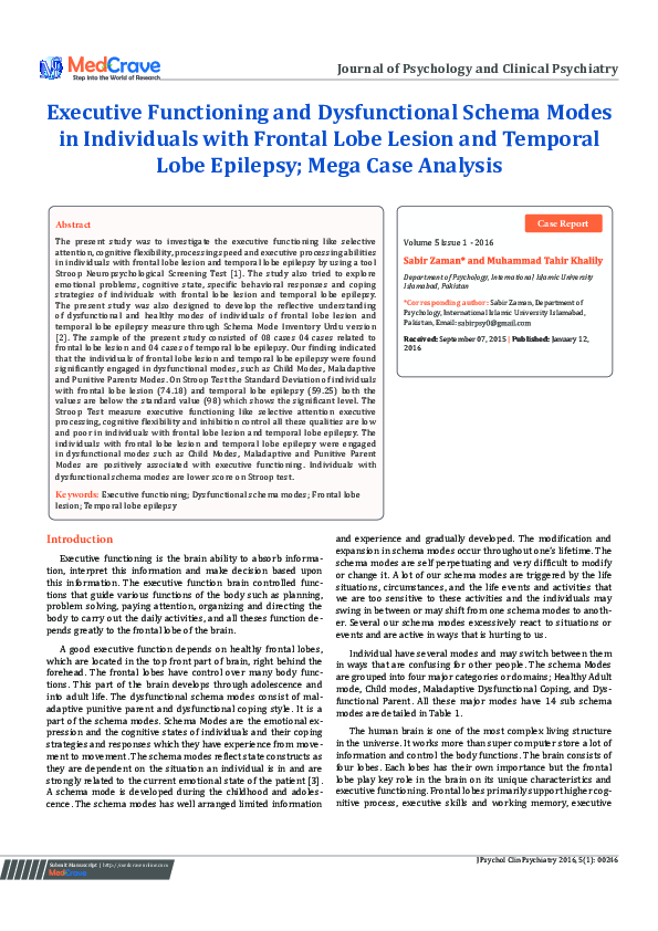 (PDF) Executive Functioning and Dysfunctional Schema Modes in ...