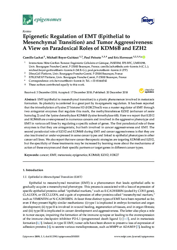 (PDF) Epigenetic Regulation of EMT (Epithelial to Mesenchymal Transition) and Tumor ...