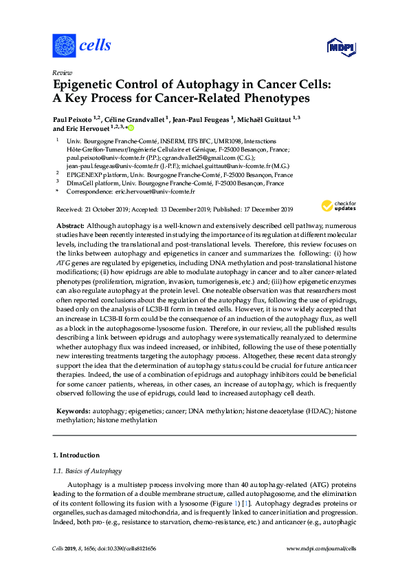 (PDF) Epigenetic Control of Autophagy in Cancer Cells: A Key Process for Cancer-Related Phenotypes