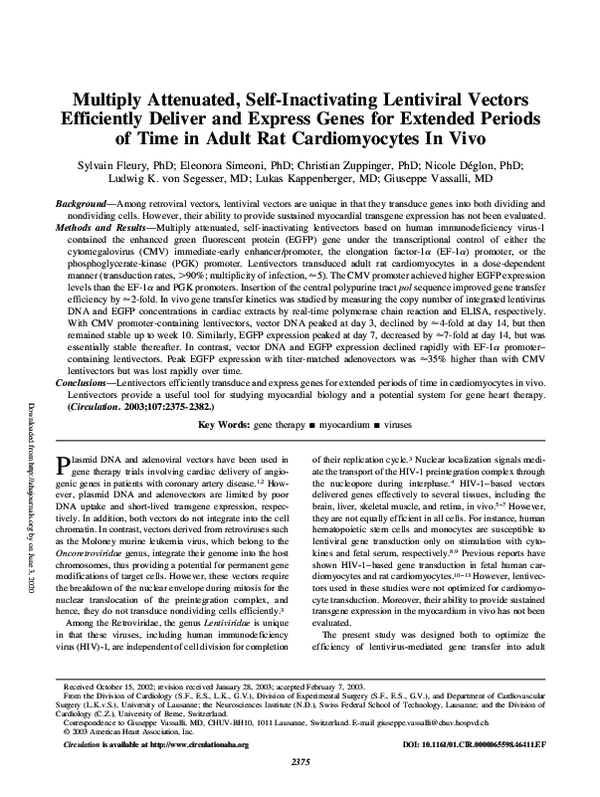 (PDF) Multiply attenuated, self-inactivating lentiviral vectors ...