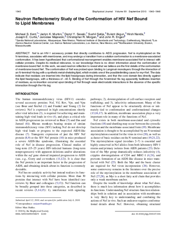 (PDF) Neutron Reflectometry Study of the Conformation of HIV Nef Bound ...