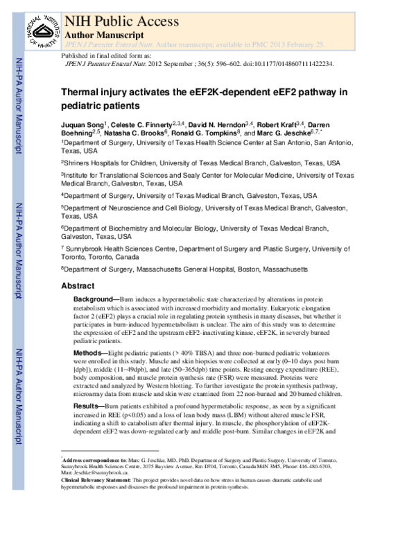 (PDF) Thermal Injury Activates the eEF2K-Dependent eEF2 Pathway in ...