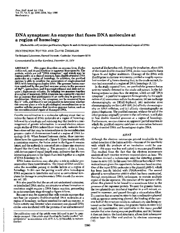 (PDF) DNA synaptase: an enzyme that fuses DNA molecules at a region of ...