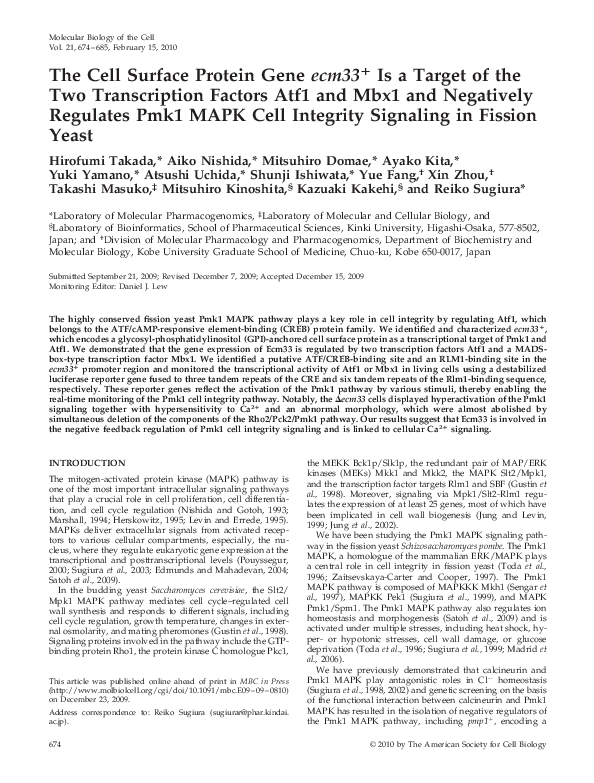 (PDF) The Cell Surface Protein Gene ecm33+ Is a Target of the Two ...