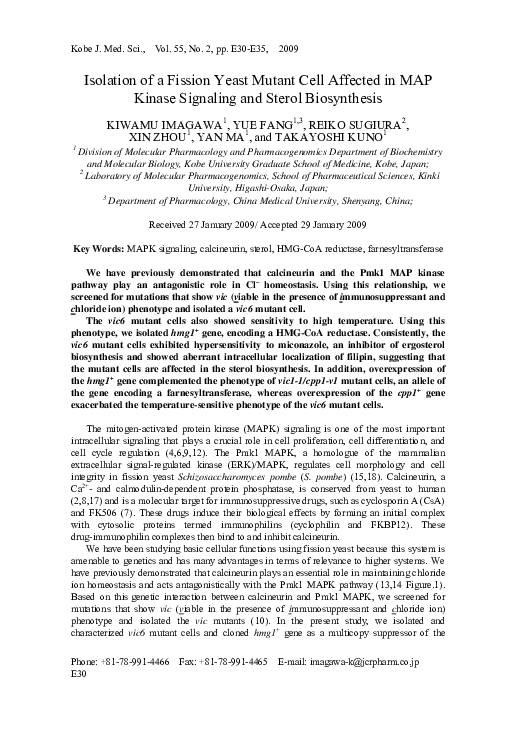 (PDF) Isolation of a fission yeast mutant cell affected in MAP kinase ...