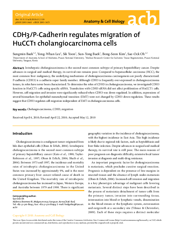 (PDF) CDH3/P-Cadherin regulates migration of HuCCT1 cholangiocarcinoma ...