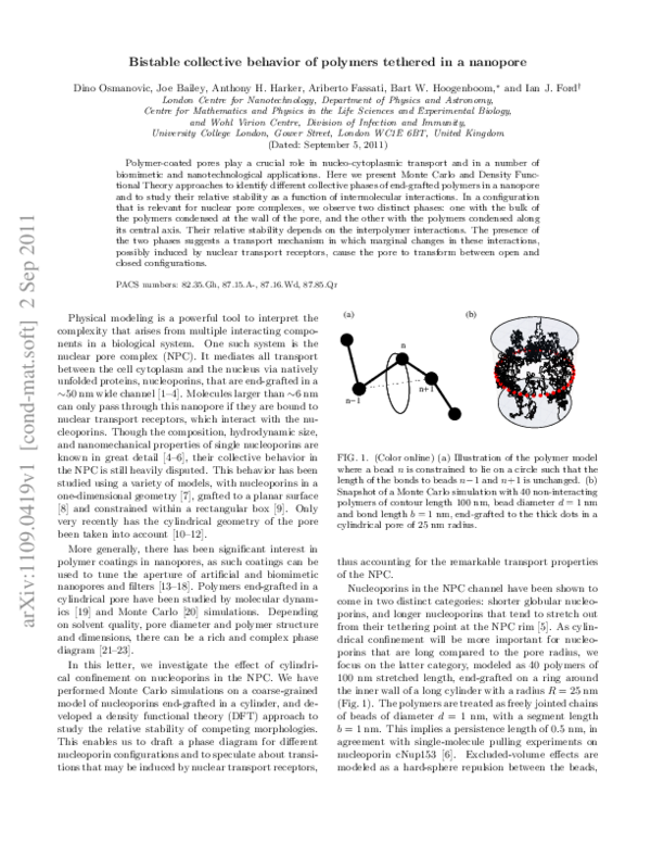 (PDF) Bistable collective behavior of polymers tethered in a nanopore ...