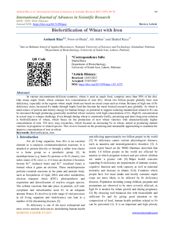 (PDF) Biofortification of Wheat with Iron