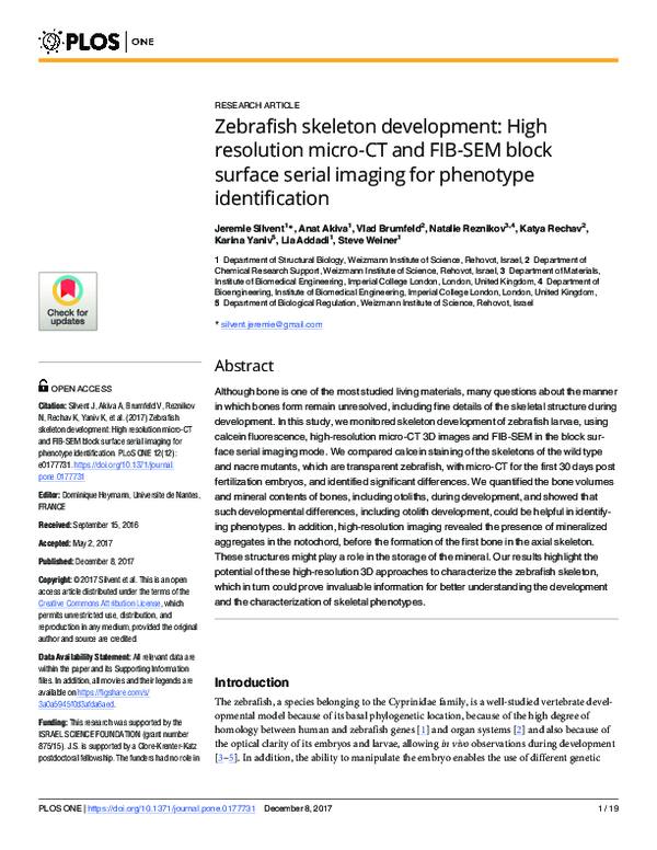 (PDF) Zebrafish skeleton development: High resolution micro-CT and FIB ...