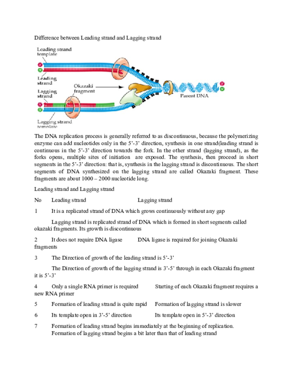 (DOC) MAKALAH BIOTEKNOLOGI FARMASI PROTEIN REKOMBINAN