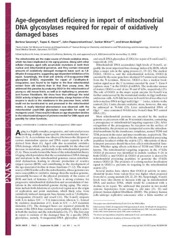 (PDF) Age-dependent deficiency in import of mitochondrial DNA ...