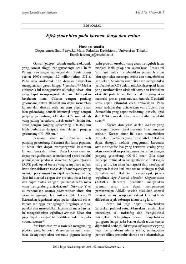 (PDF) Efek sinar biru pada kornea, lensa dan retina