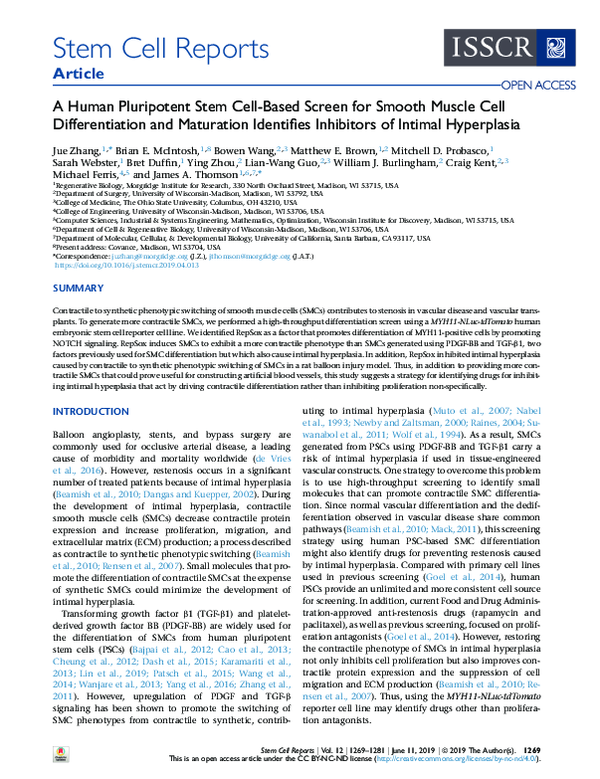 (PDF) A Human Pluripotent Stem Cell-Based Screen for Smooth Muscle Cell ...