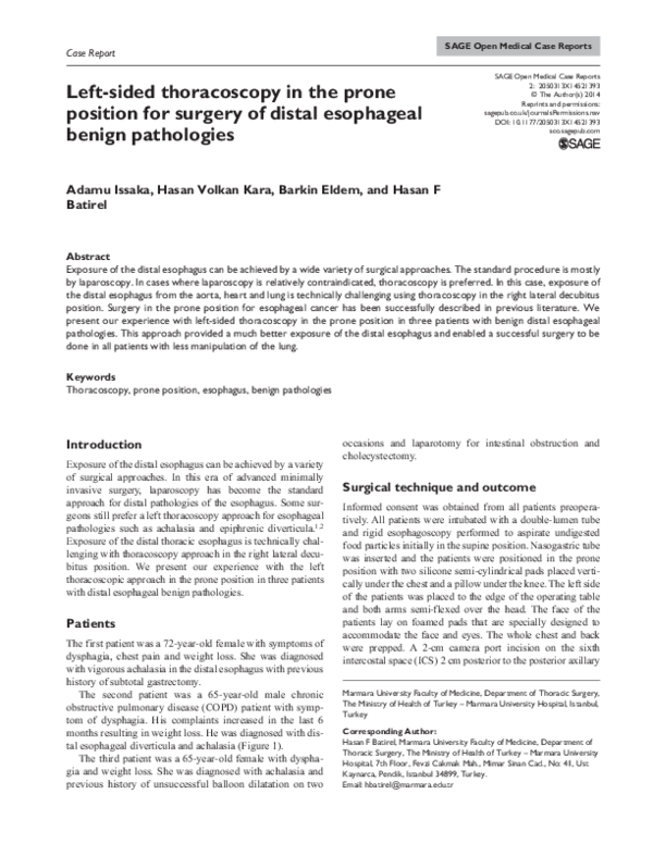 (PDF) Left-sided thoracoscopy in the prone position for surgery of ...