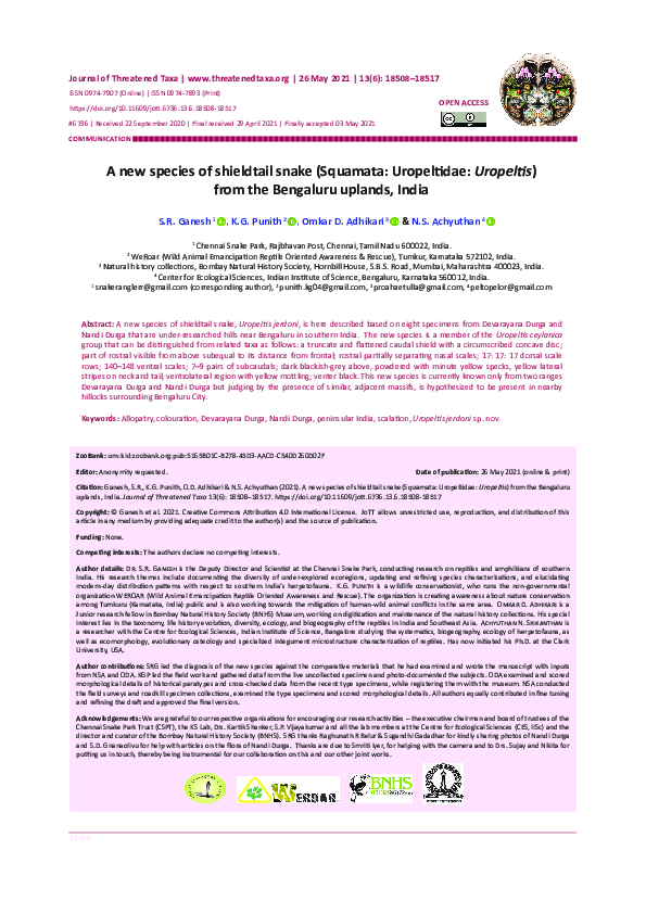 (PDF) A new species of shieldtail snake (Squamata: Uropeltidae ...