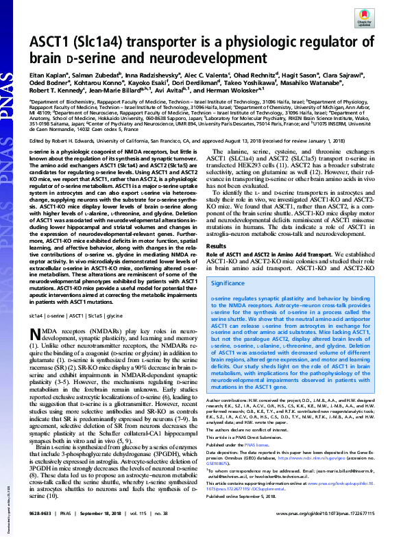 (PDF) ASCT1 (Slc1a4) transporter is a physiologic regulator of brain d ...
