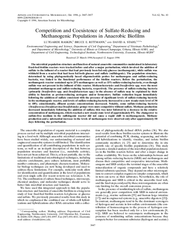 (PDF) Competition and coexistence of sulfate-reducing bacteria, acetogens and methanogens in a ...