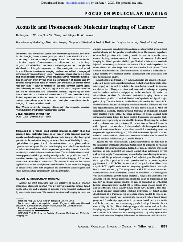 (PDF) Acoustic and Photoacoustic Molecular Imaging of Cancer