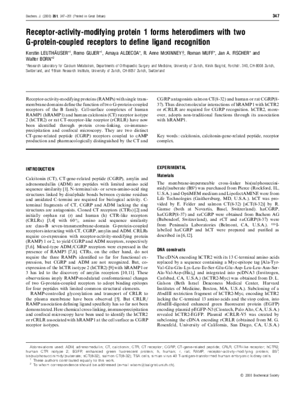 (PDF) Receptor-activity-modifying protein 1 forms heterodimers with two ...