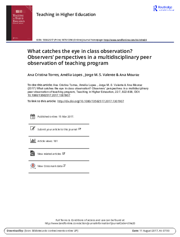 (PDF) What catches the eye in class observation? Observers ...